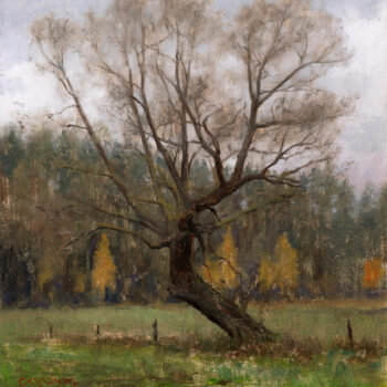 Workshops - Lyme Academy of Fine Arts